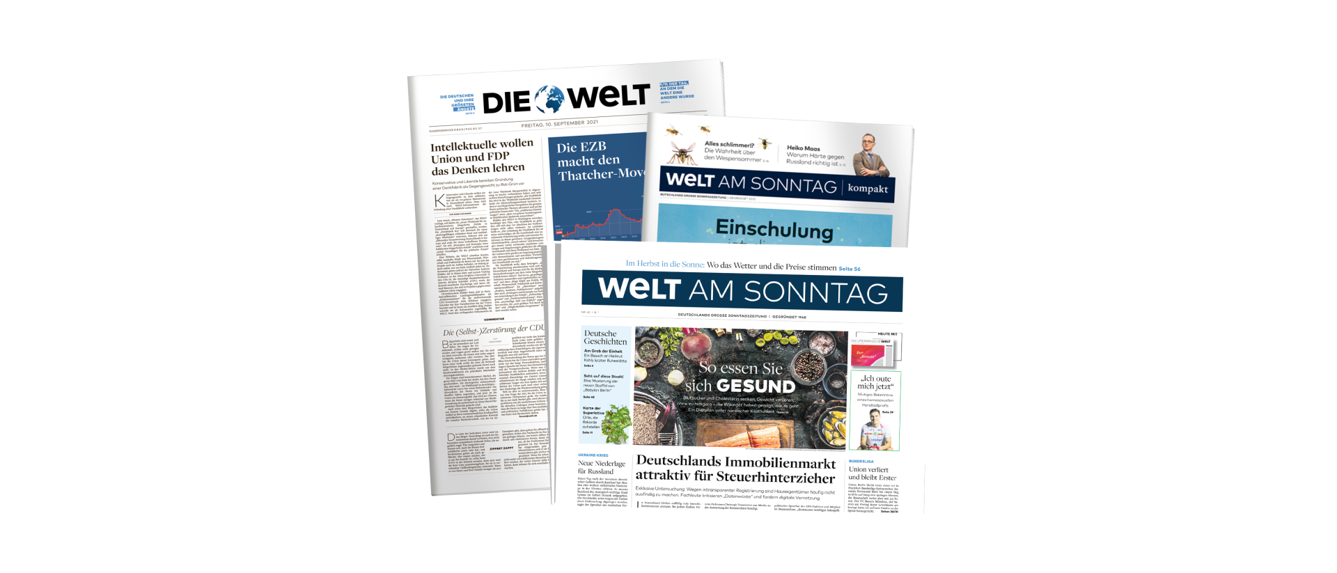 welt - Media Impact